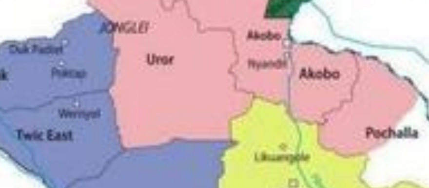 Nyirol County authorities receive 11 abductees | Radio Tamazuj