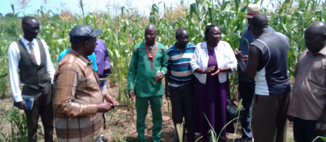 Agricultural Bank officials assess farmer challenges in Eastern ...