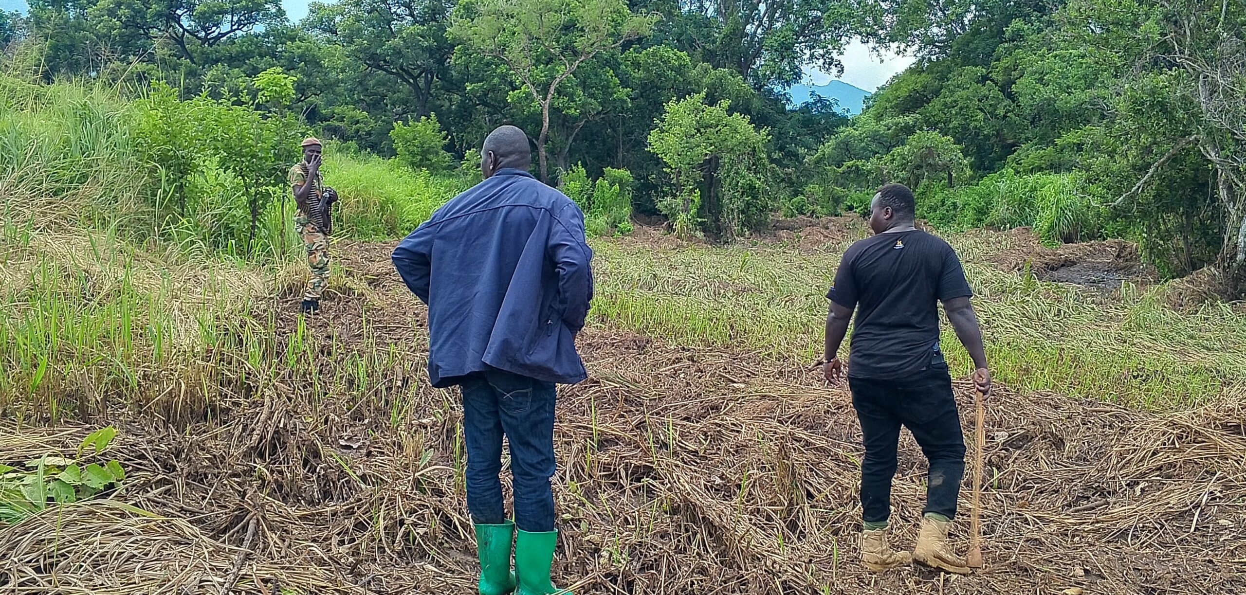 Call to experts to probe suspected Ikotos volcano - Radio Tamazuj