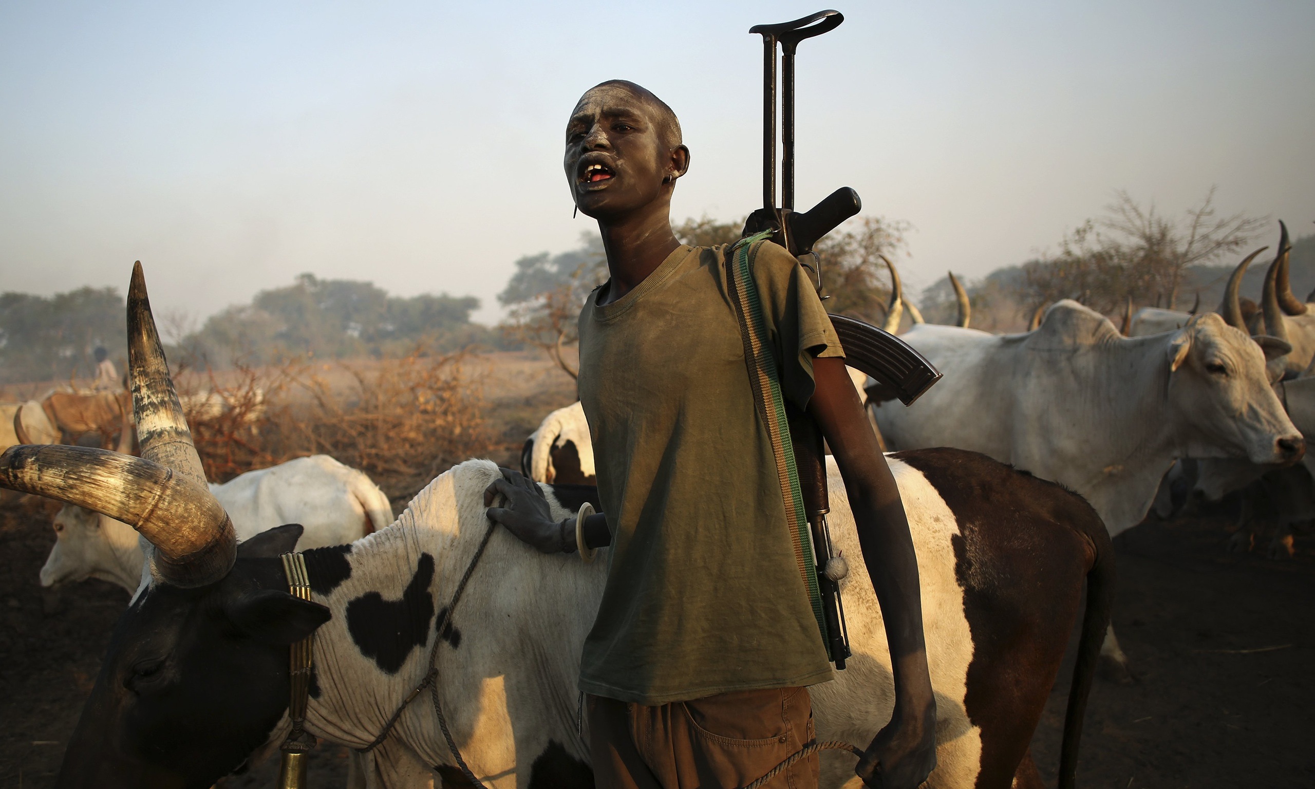One killed as 4,000 cattle are stolen in Ayod County raid - Radio Tamazuj