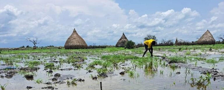 Heavy rains wash away Mayendit County homes - Radio Tamazuj