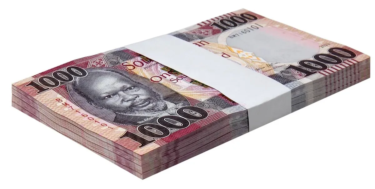 Pound makes surprise rebound, but this could be short-lived, experts ...