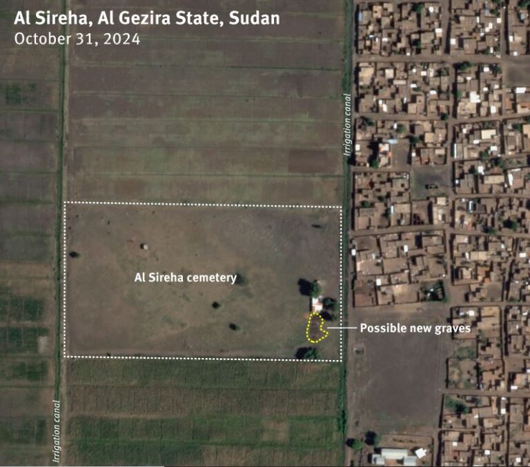 Rights body faults RSF for targeting civilians in Sudan’s Al Gezira ...