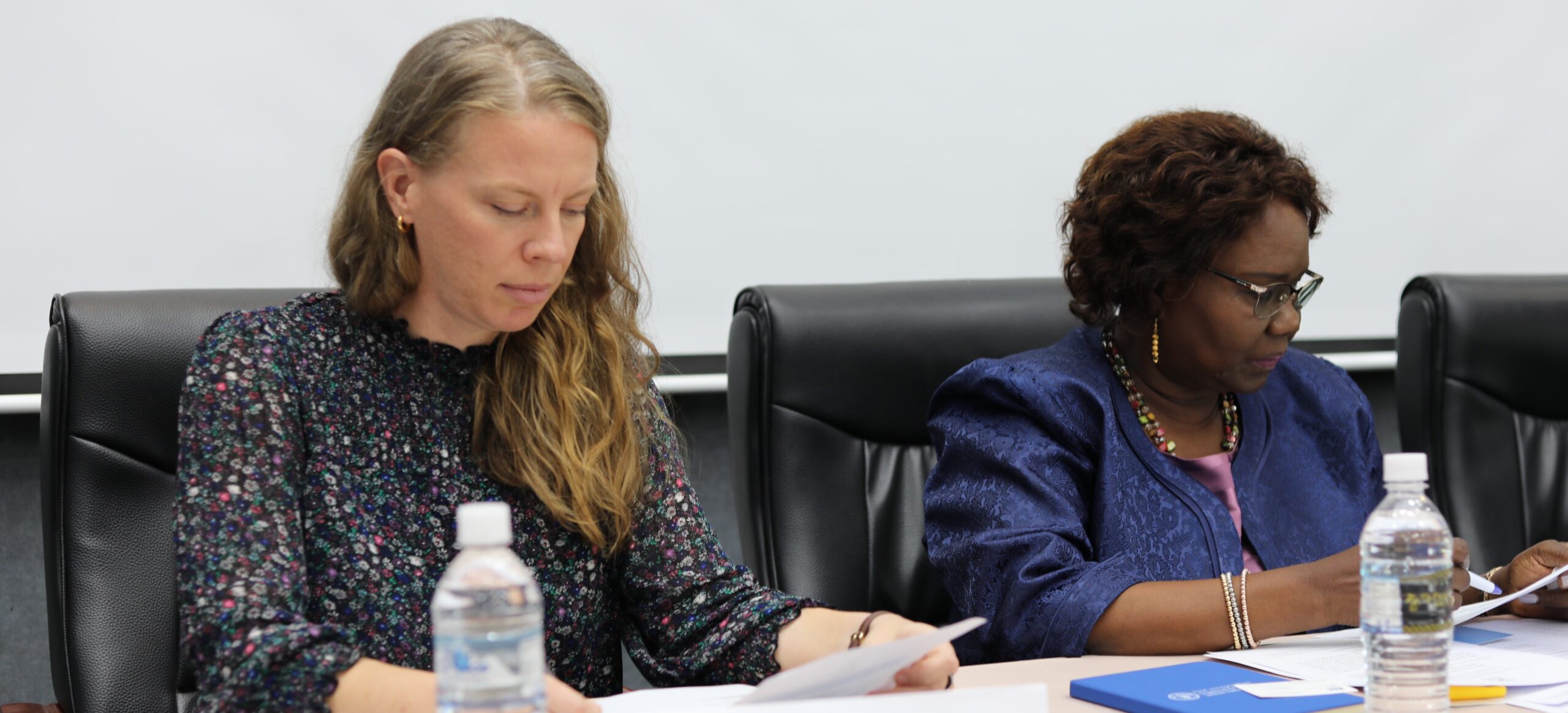 UK urges South Sudan to invest in food security - Radio Tamazuj