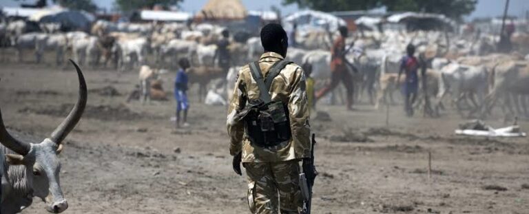 Two SSPDF soldiers killed in Wau county attack - Radio Tamazuj