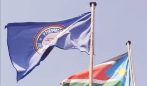 Government green-lights SPLM-IO flag raising in Yambio - Radio Tamazuj