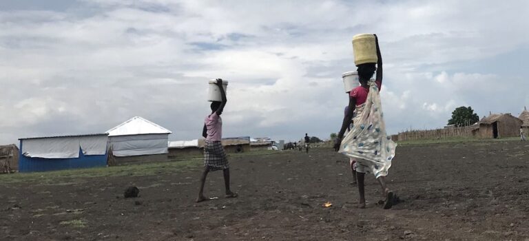 Two women abducted while collecting firewood in Akobo - Radio Tamazuj