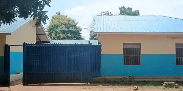 Gunmen steal cash in raid on Catholic priests’ residence in Maridi ...