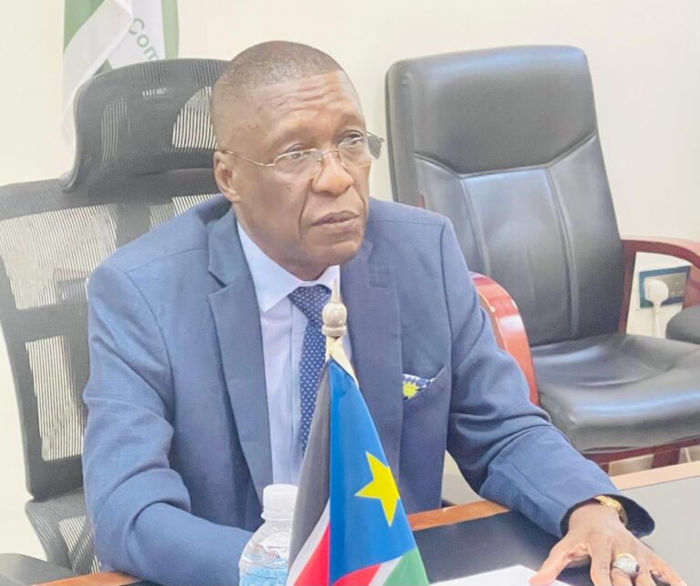 RJMEC: South Sudan Revitalized Peace Agreement has stalled - Radio Tamazuj