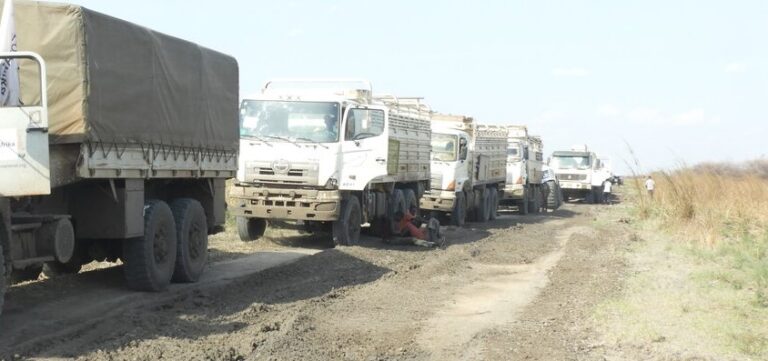 Humanitarian aid vehicles robbed on Torit-Magwi road - Radio Tamazuj