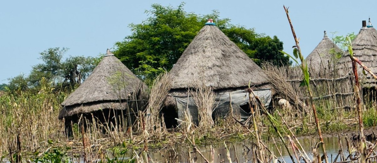 Floods displace more than 3,000 households in Akobo - Radio Tamazuj