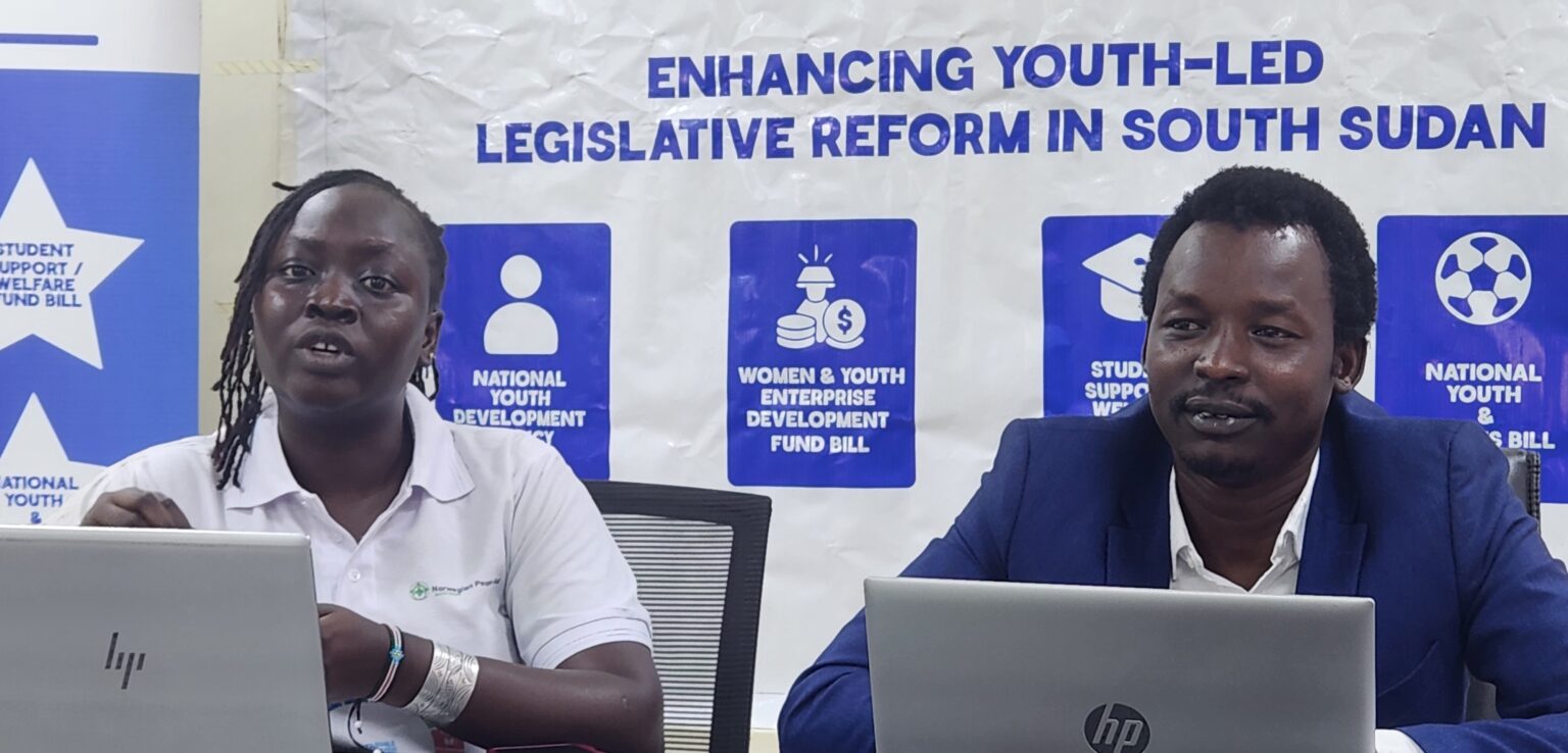 Youth groups hail passage of youth development policy - Radio Tamazuj
