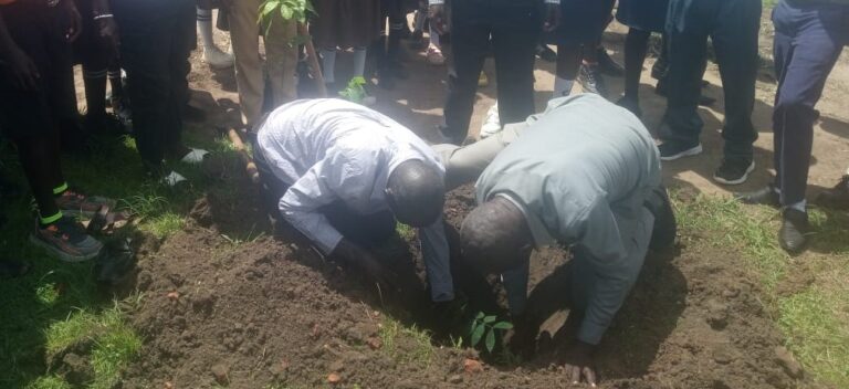 Yei launches clean-up, tree planting drive on Environment Day - Radio ...